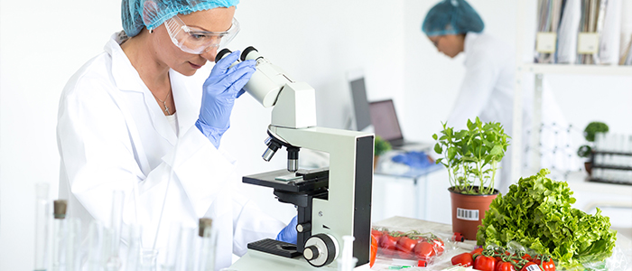 Școala Profesională, orașul Soroca – FORMARE PROFESIONALĂ DE CALITATE